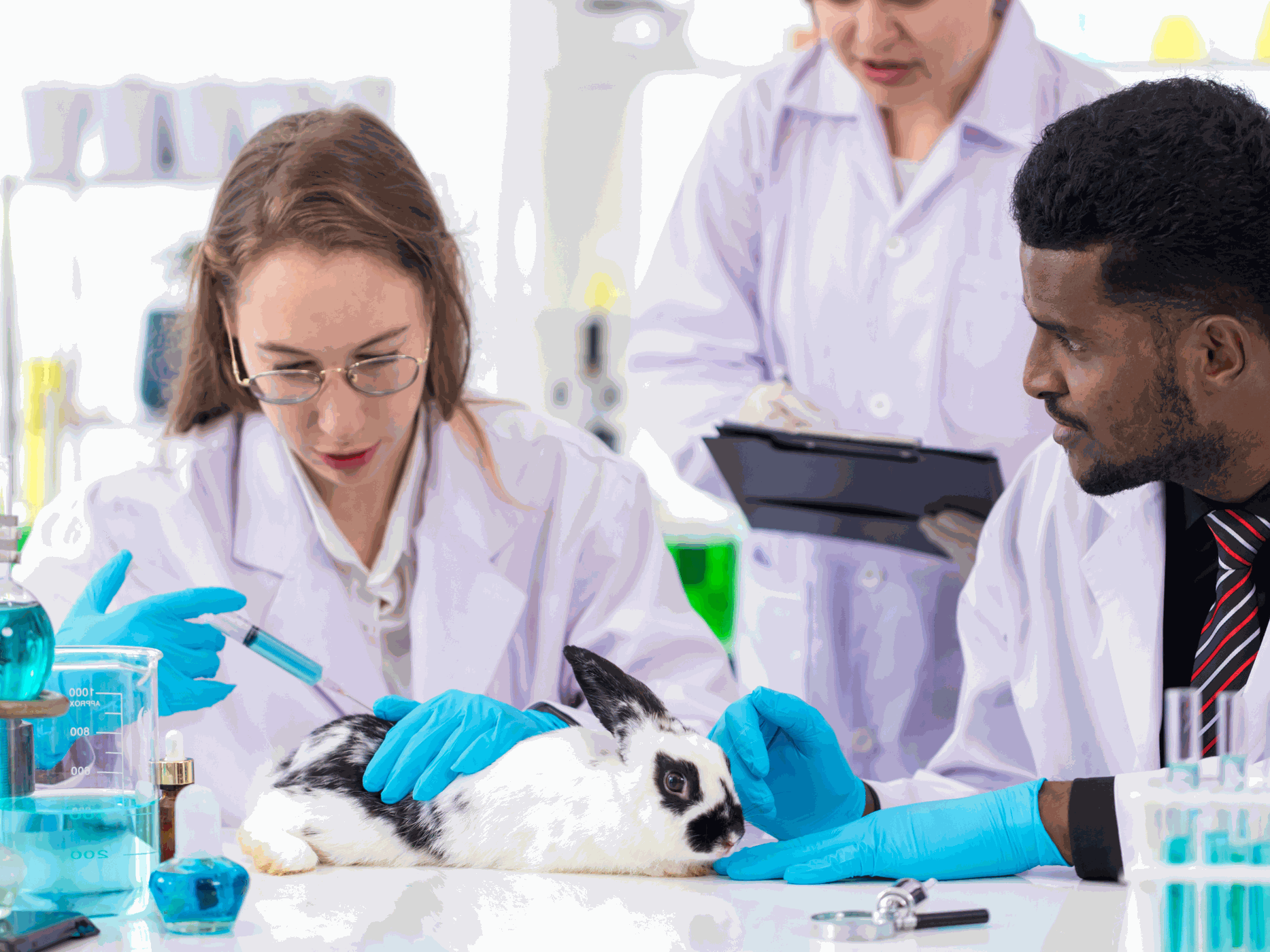 New law allows alternatives to animals in nonclinical tests for drug ...