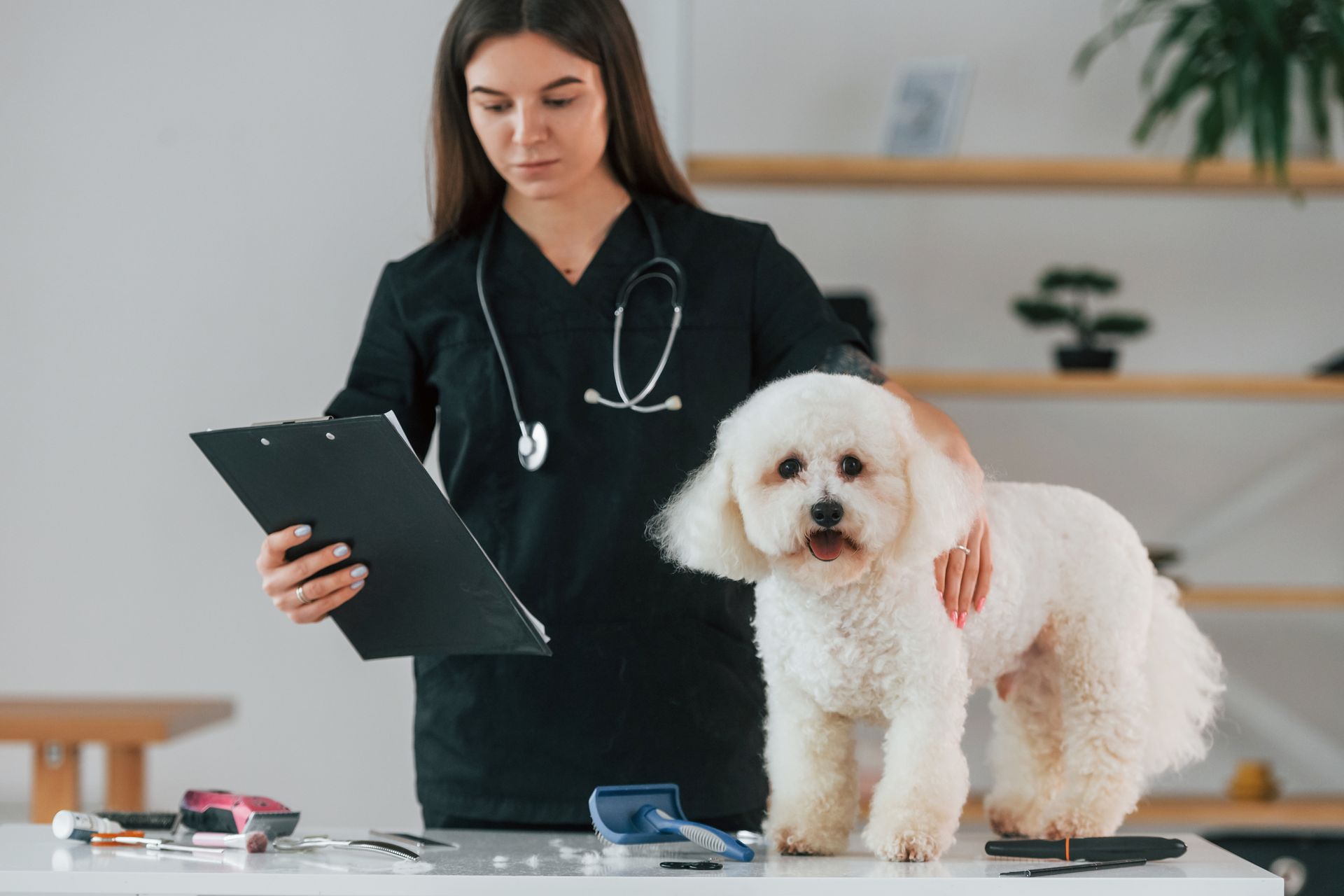 Understanding Veterinary Fluid Therapy: More than salt and Water | AIV Vet