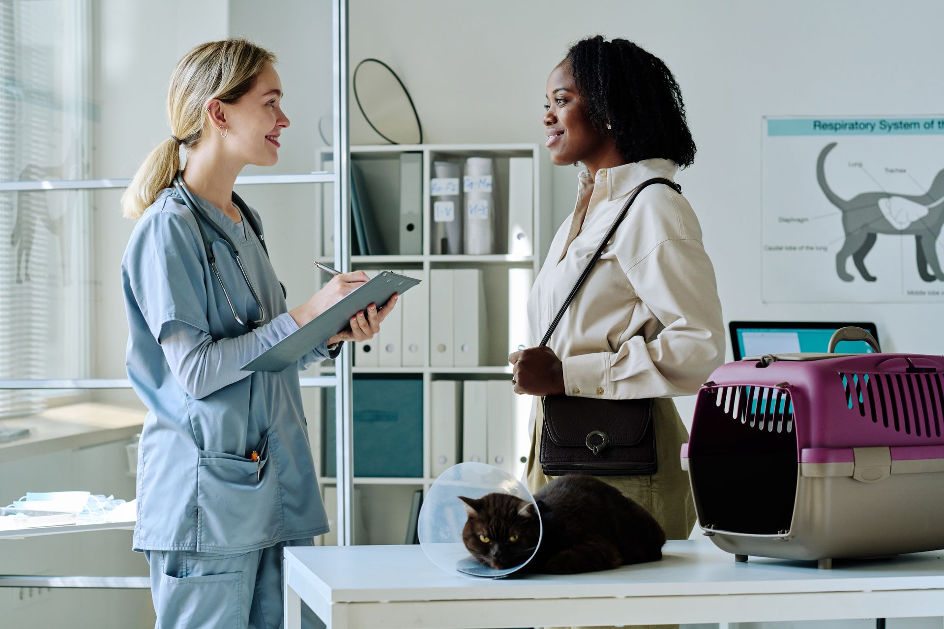 What pet owners and vet practitioners need to know about PFAS exposure ...