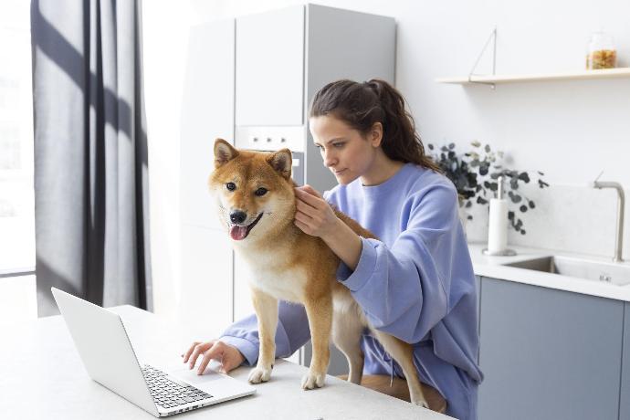 Veterinary Industry Trends to Watch in 2024 | AIV Vet