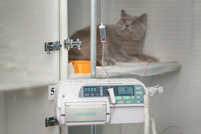 4 ways preventative maintenance saves vet clinic money | IV pumps