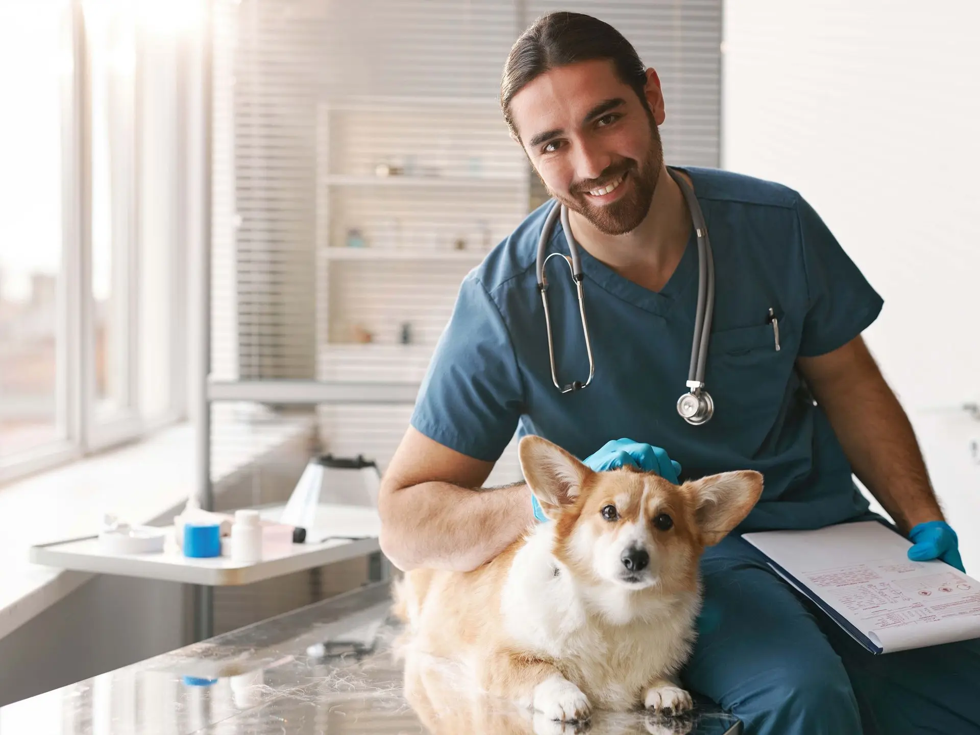 AHAA Veterinary Surgical Suite Design Tips | AIV Vet