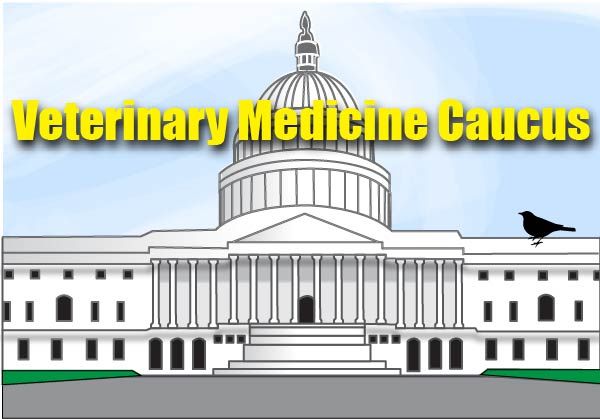 VETERINARY MEDICINE CAUCUS LEADING THE WAY FOR ANIMAL HEALTH VISIBILITY ...