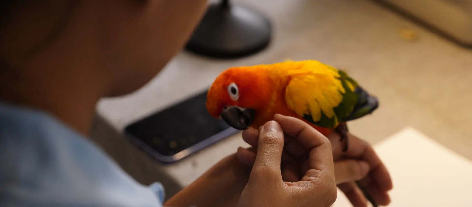 Report From The American Pet Products Association (APPA) Gives Vets ...