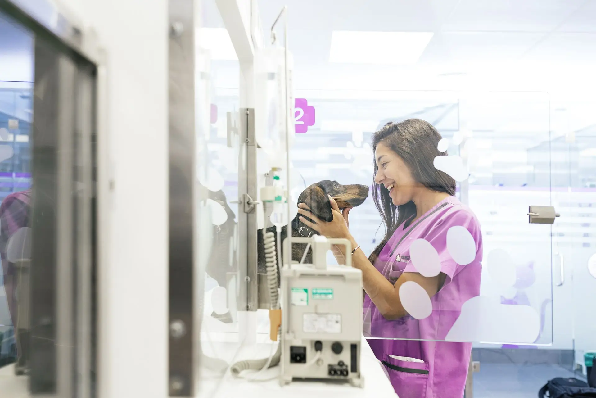 Key Findings From Our 2025 Survey of Veterinary Clinics That Use IV ...